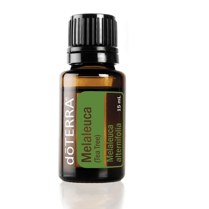Arbol de Te (Melaleuca) – Aceites esenciales doTERRA en Argentina / Los ...